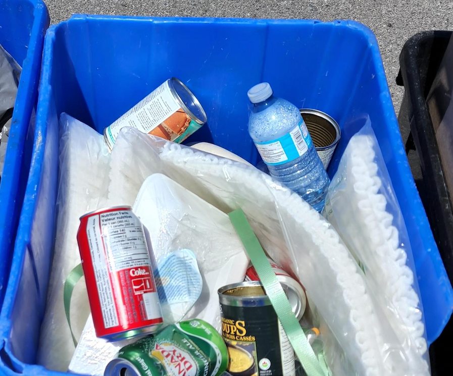 The life cycle of a pop can | The Haldimand Press