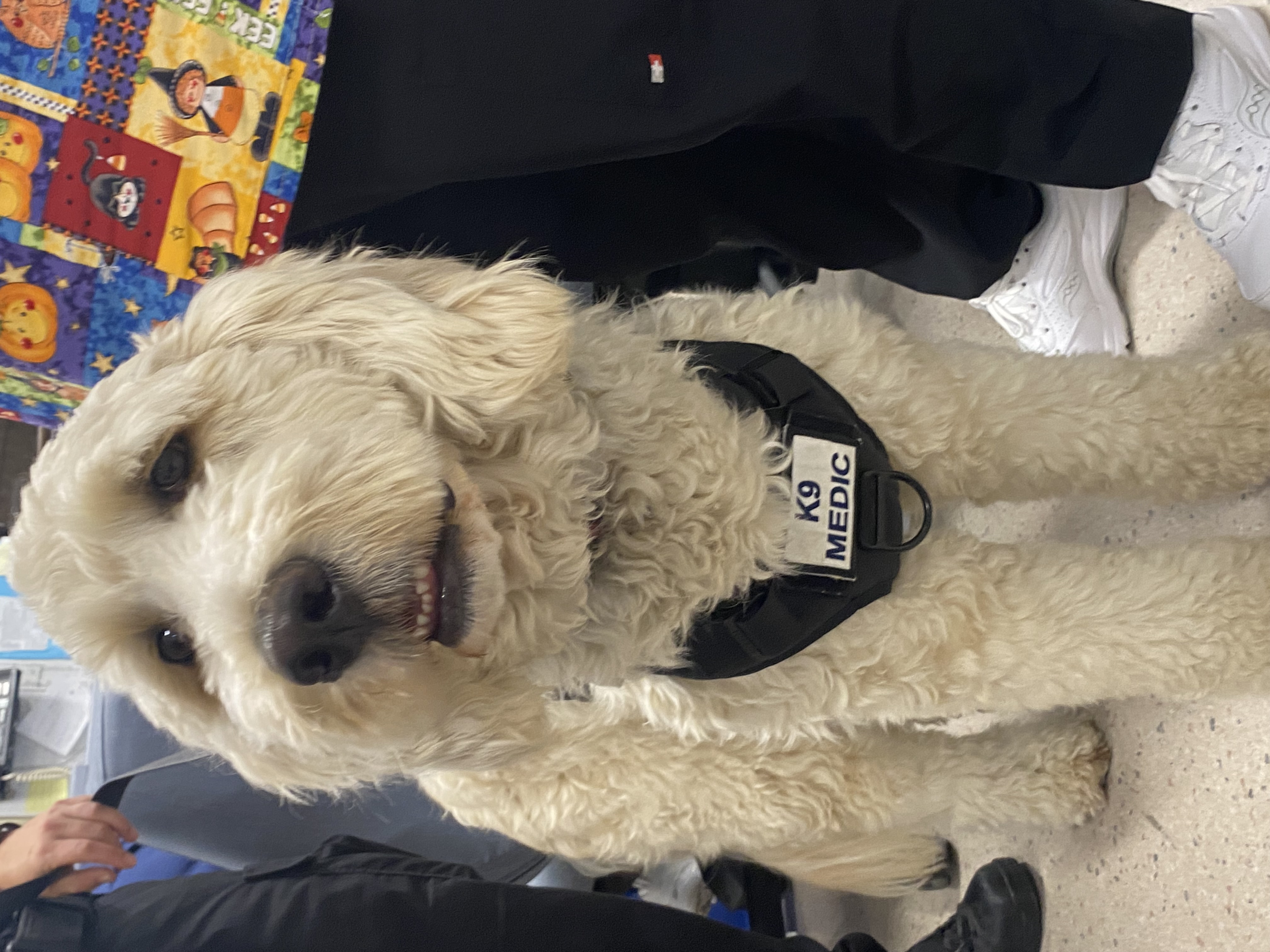 All in a day’s work: A look at Haldimand’s innovative Community ...