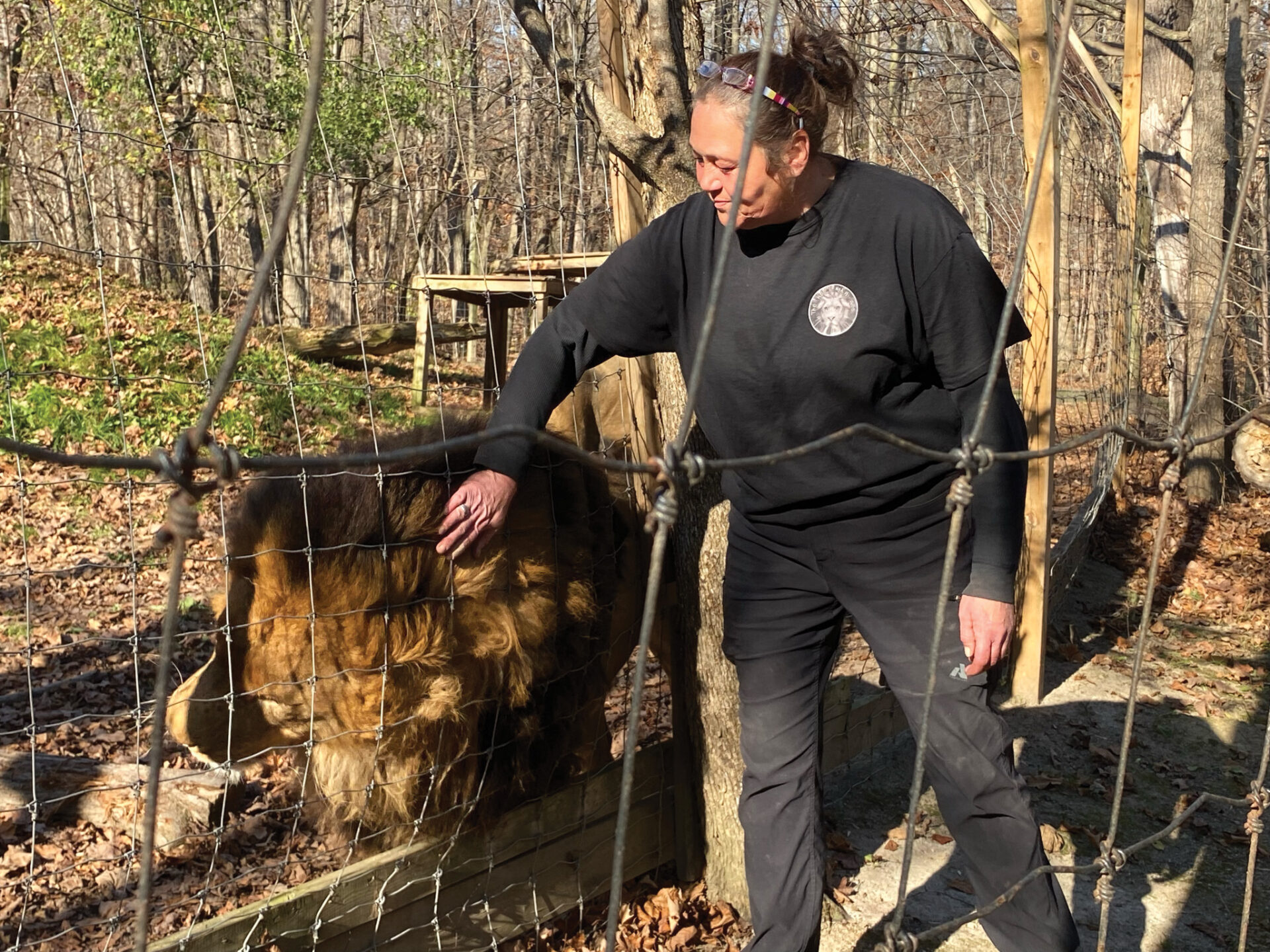 Killman Zoo responds to World Animal Protection report on ‘roadside ...