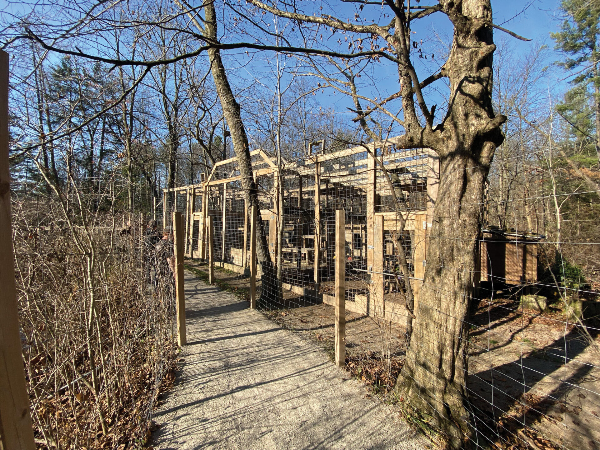 Killman Zoo responds to World Animal Protection report on ‘roadside ...