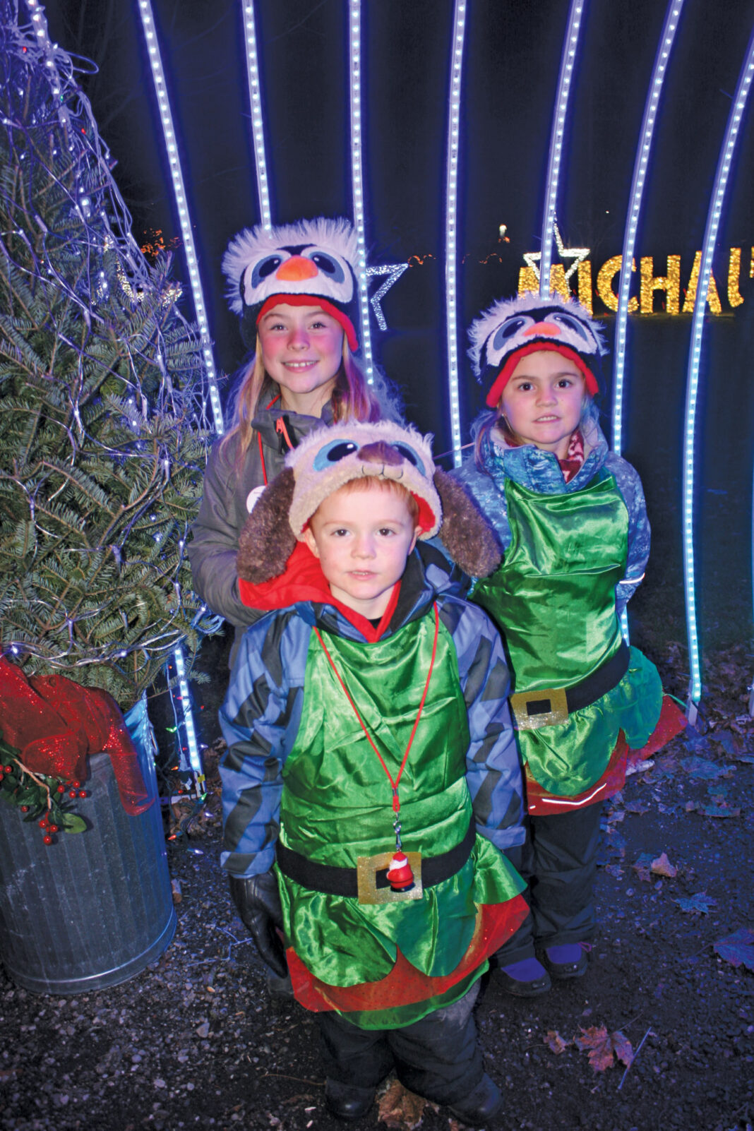 Jarvis light up elves | The Haldimand Press