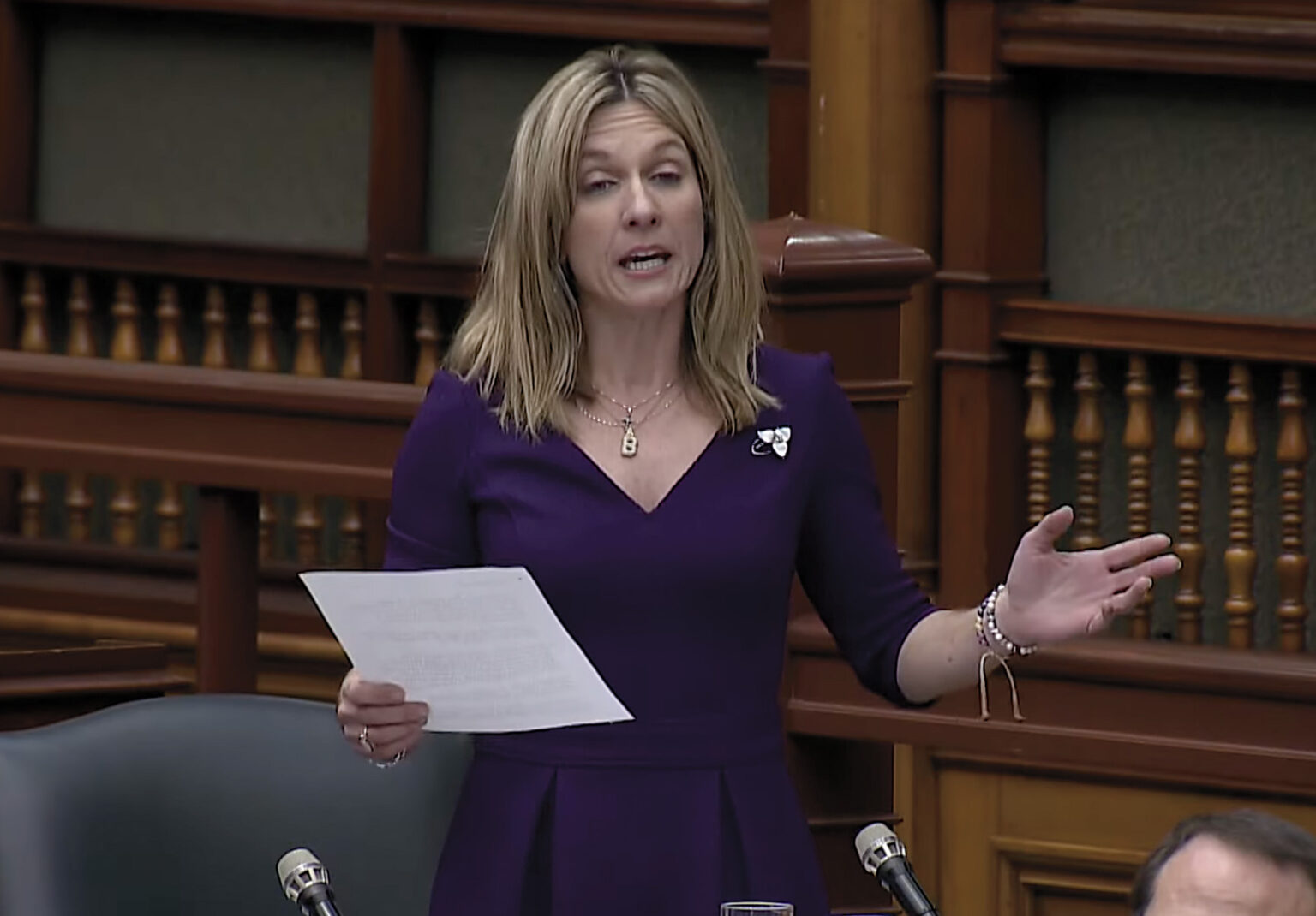 MPP criticizes former mayor Ken Hewitt’s appointment to Ontario Land ...