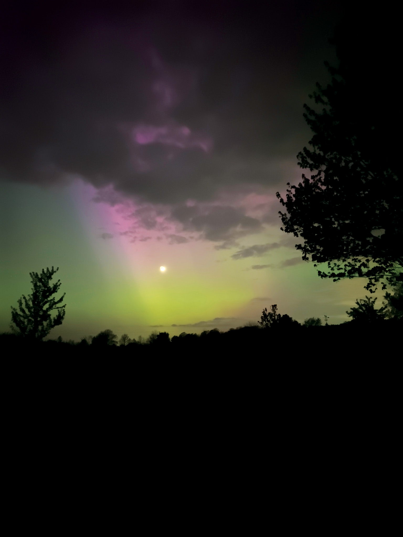 Aurora Albert Tyson | The Haldimand Press