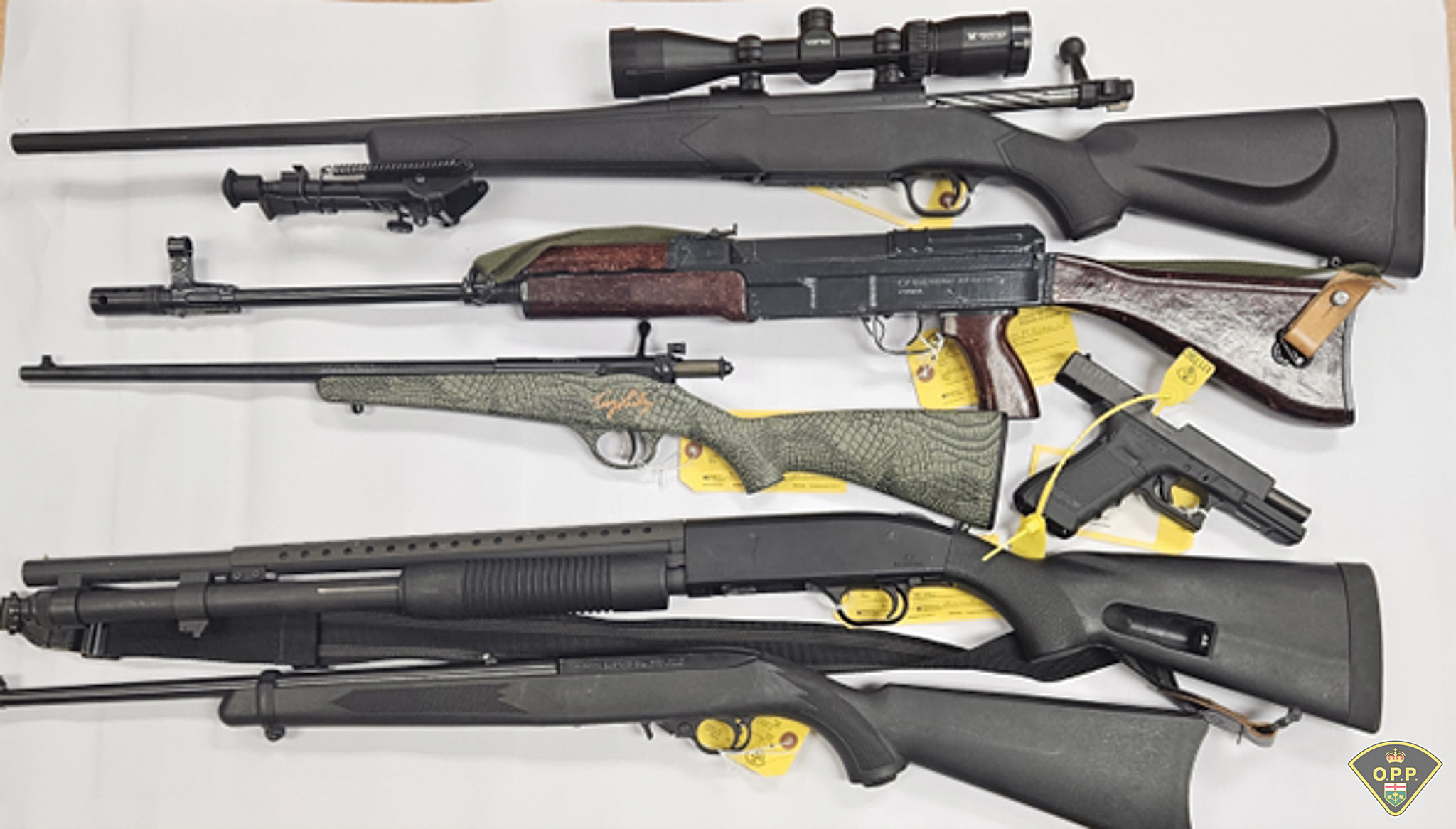 Firearms Seized (2) | The Haldimand Press