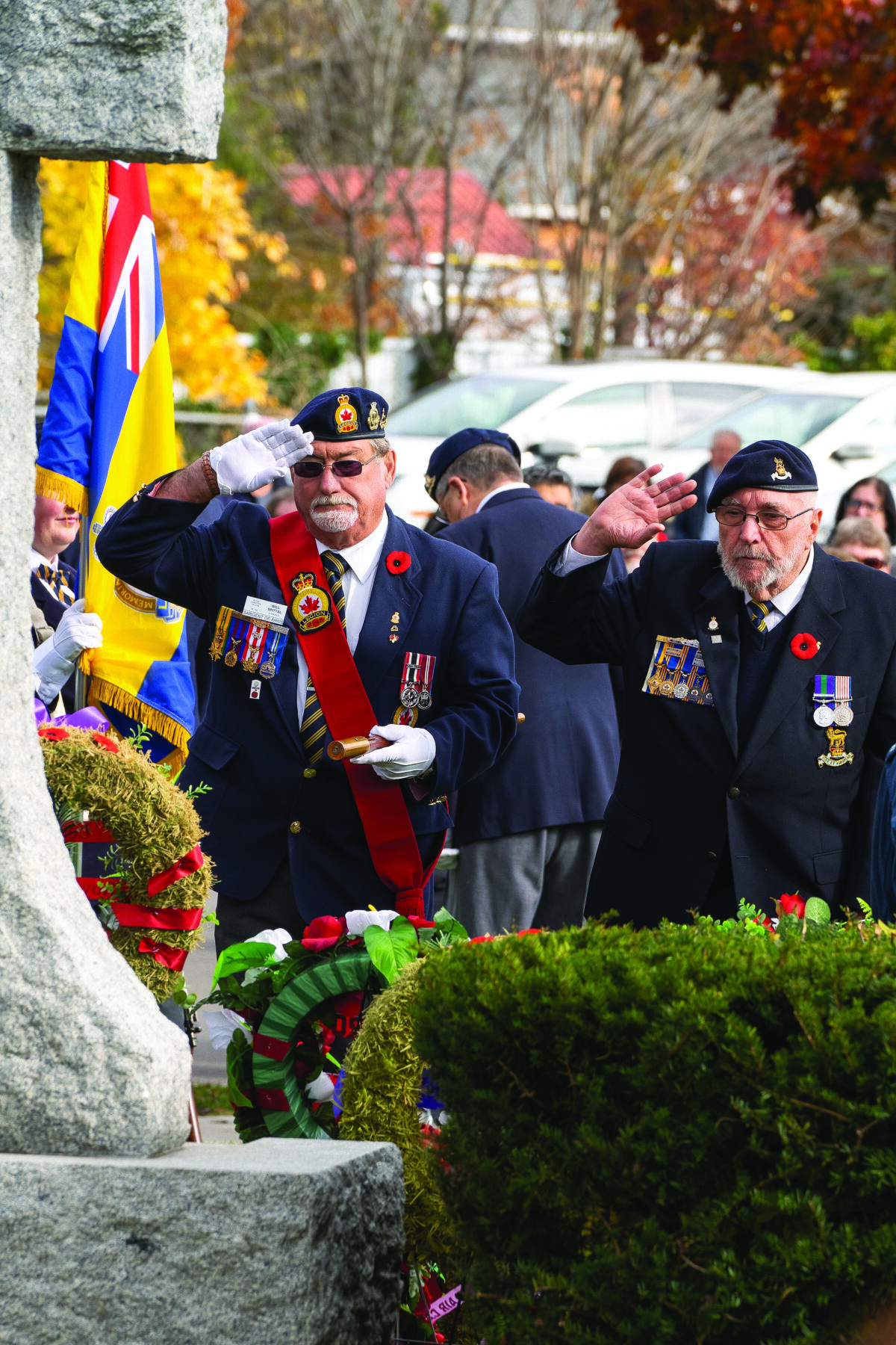 REMEMBRANCE DAY: Take part in Haldimand’s events | The Haldimand Press