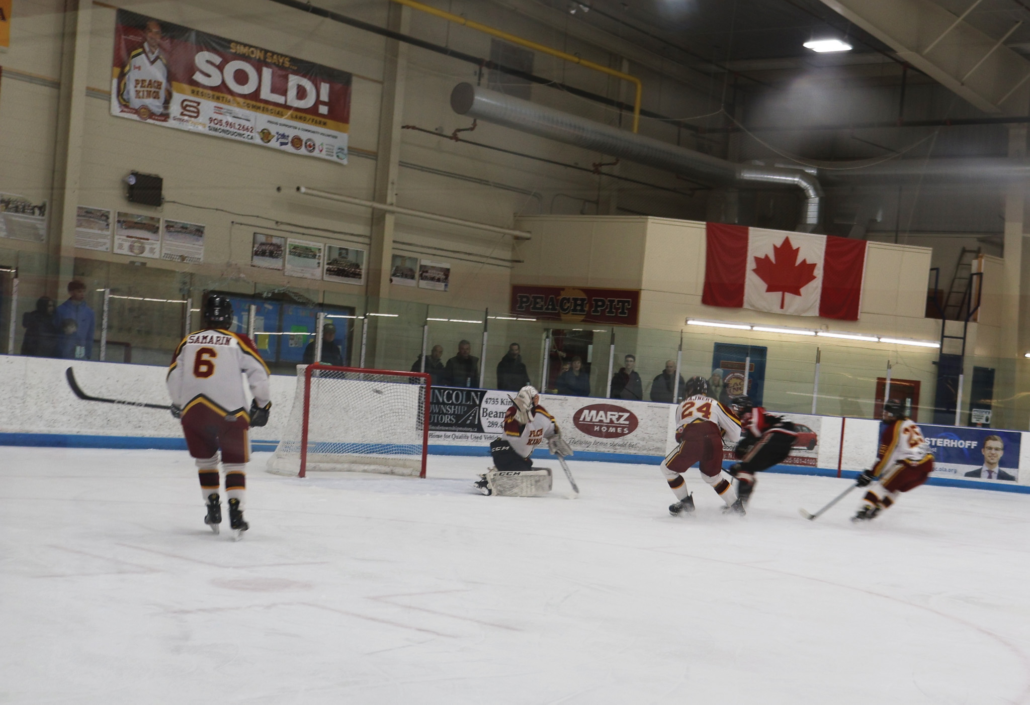 hawks IMG_1895 | The Haldimand Press
