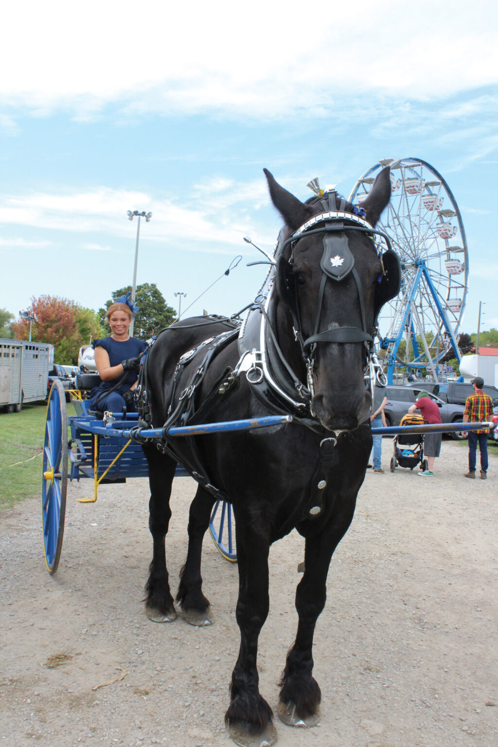2025 Caledonia Fair wraps up in style | The Haldimand Press